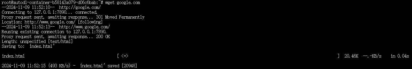 Linux服务器使用clash配置VPN | 诺亚方舟