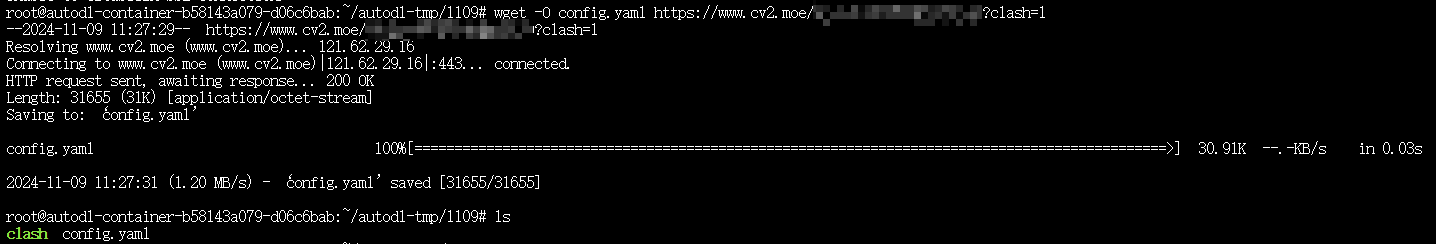 Linux服务器使用clash配置VPN | 诺亚方舟